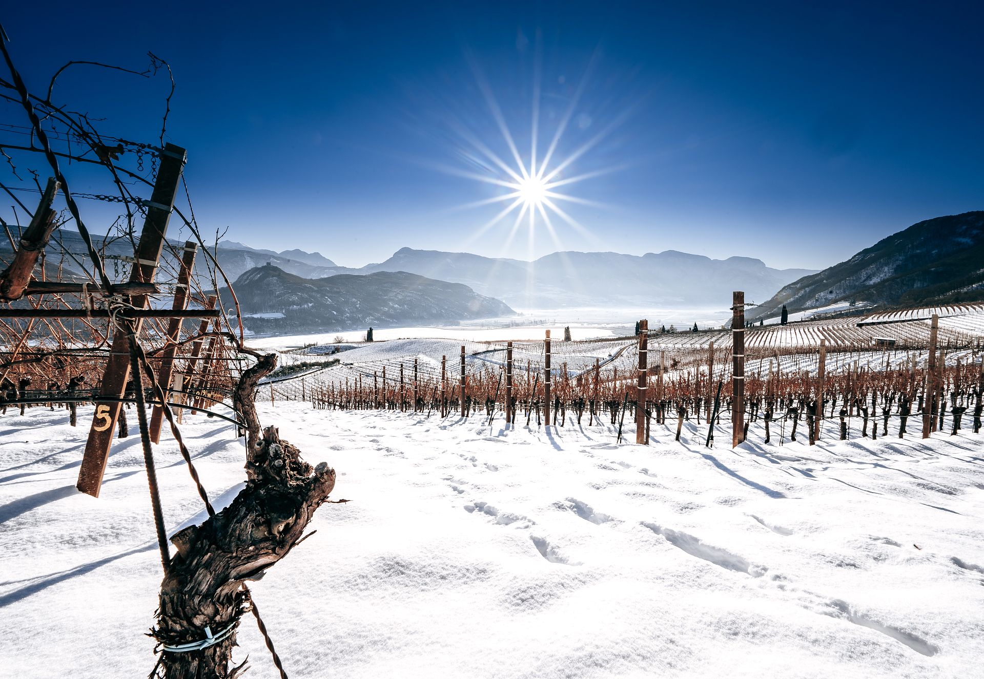 Kaltern am Kalterer See